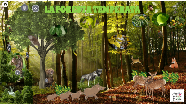 La foresta temperata
