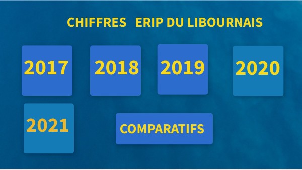 STATISTIQUES ERIP du Libournais | Genially