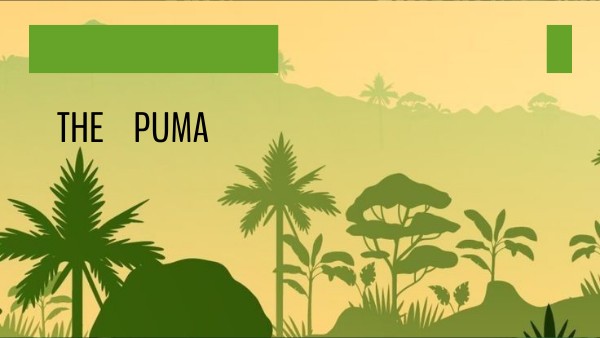 Presentacion de Ingles, The Puma