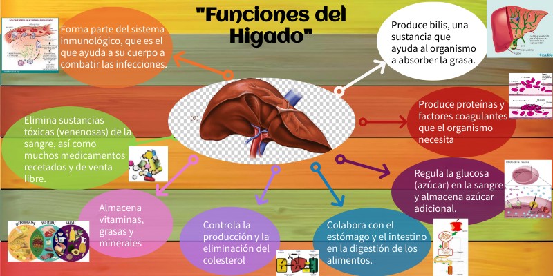 RANKING CIRCULAR | Genially
