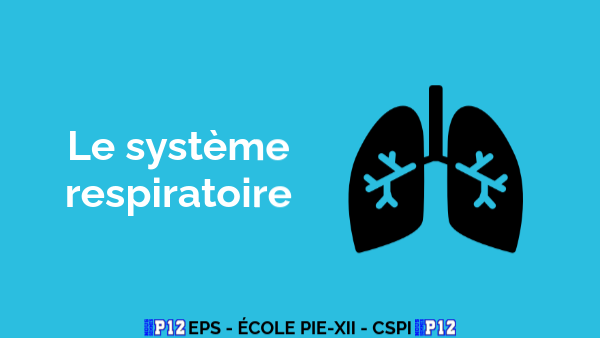 Le Système Respiratoire | Genially