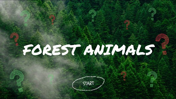 FOREST ANIMALS | Genially