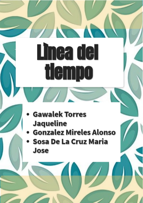 LINEA DEL TIEMPO