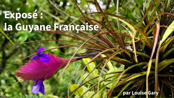 Exposé Guyane | Genially