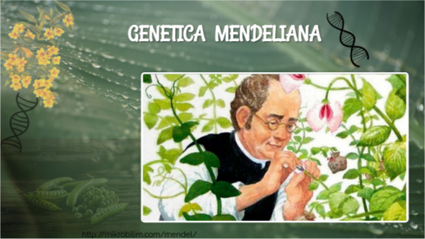 Genética mendeliana