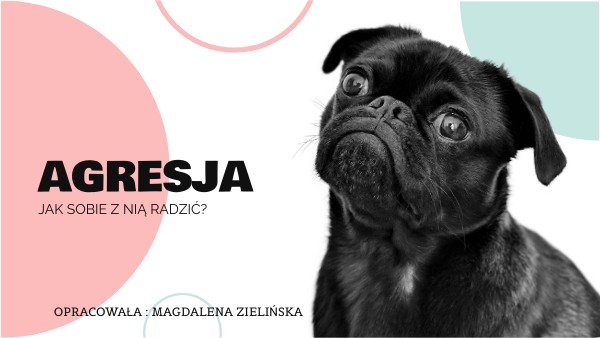 Agresja.Jak sobie z nią radzić? | Genially