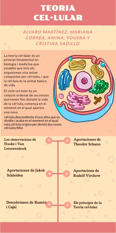 INFO VERTICAL CÉLULAS