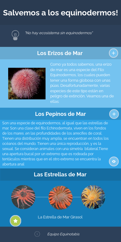 Salvemos a los Equinodermos
