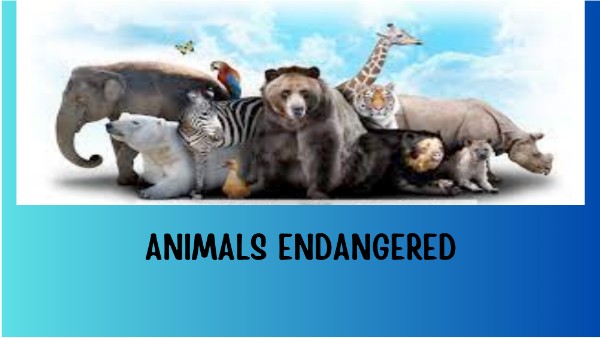 Unit: Animals in danger.