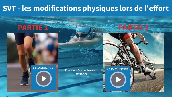 Activité - 5e - Les modifications physiques lors de l'effort