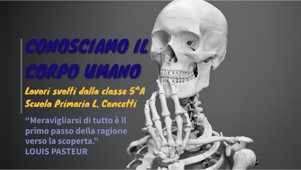 Interactive body-A | Genially