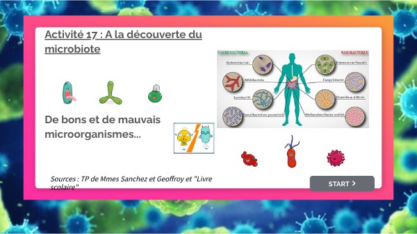 Activité microbiote seconde NDOzanam | Genially