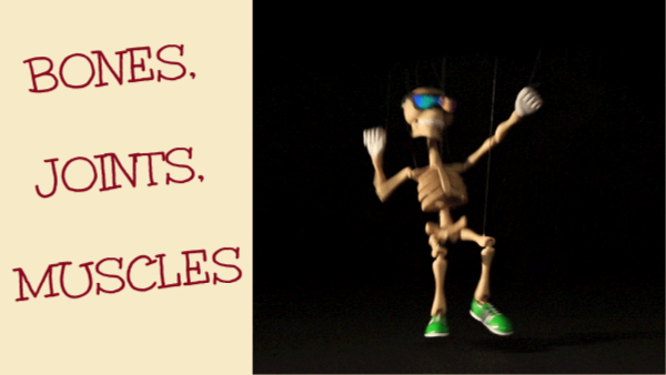 Bones, joints, muscles | Genially