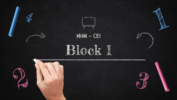 MHM - CE1 - BLOCK 1