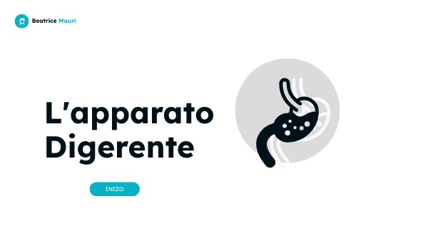 Apparato digerente- Beatrice Mauri | Genially
