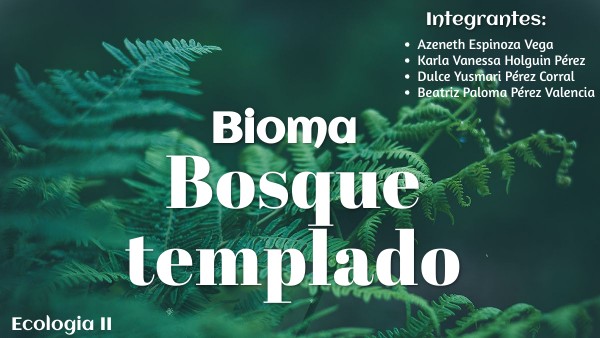 Bioma Bosque Templado | Genially