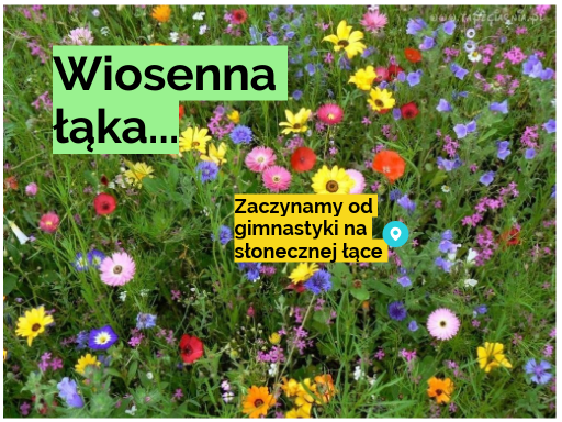 Wiosenna łąka | Genially