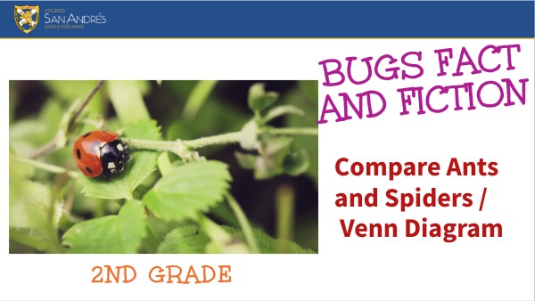 L14: Venn Diagram Compare Ants and Spiders