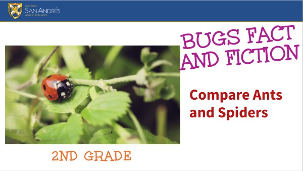 L13: Compare Ants and Spiders