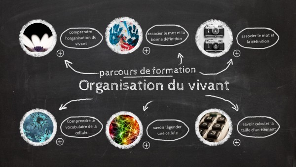 2F et 2G - SVT - L'organisation du monde vivant