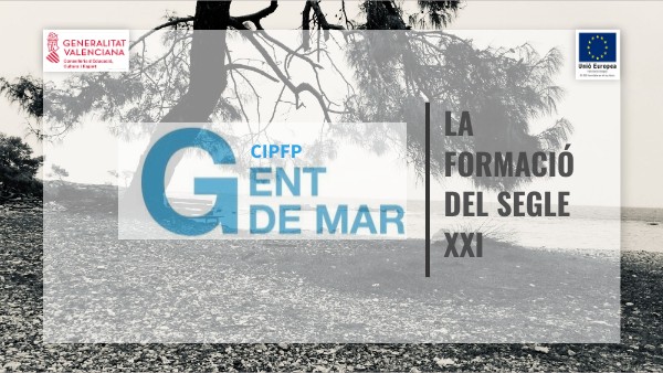 CIPFP DÉNIA