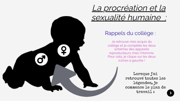 Procréation et sexualité | Genially