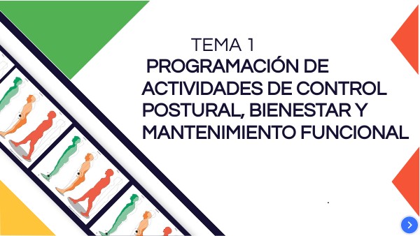 Tema 1. Control postural