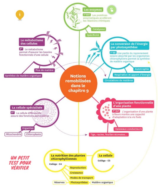 TEDSP2AC9TD1 rappels