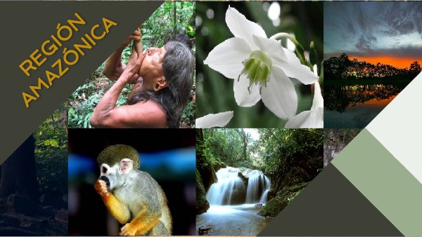 REGION AMAZONICA | Genially