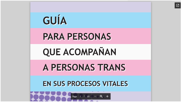 Guía para personas que acompañan a personas trans en sus procesos vitales