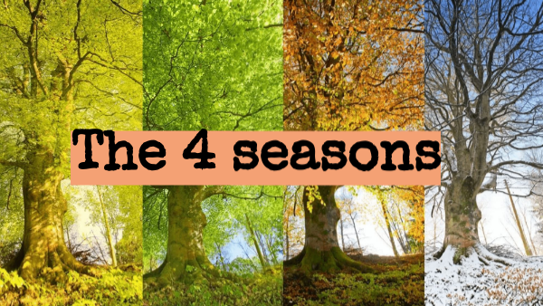 4 seasons | Genially