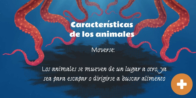 Características de los animales | Genially