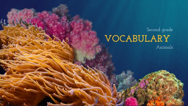 Vocabulary | Genially