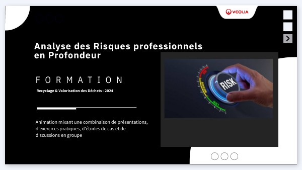 Analyse des Risques en Profondeur