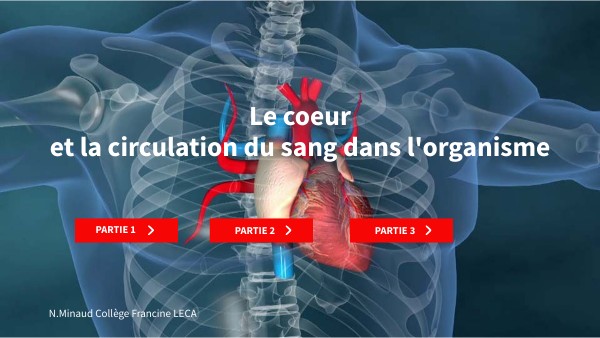 Coeur et circulation | Genially