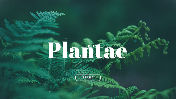 Plantae | Genially