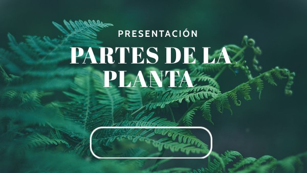 PARTES DE LA PLANTA Y NECESIDADES