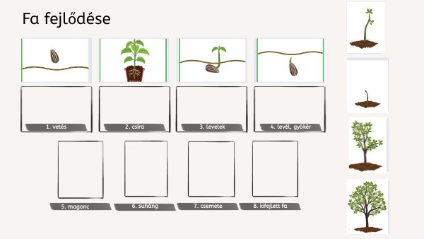 Fa fejlődése | Genially