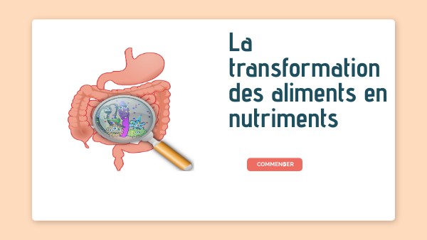 LA DIGESTION DES ALIMENTS | Genially