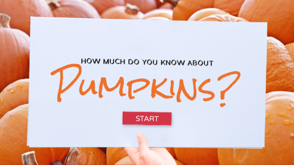 Pumpkin Fun Facts | Genially