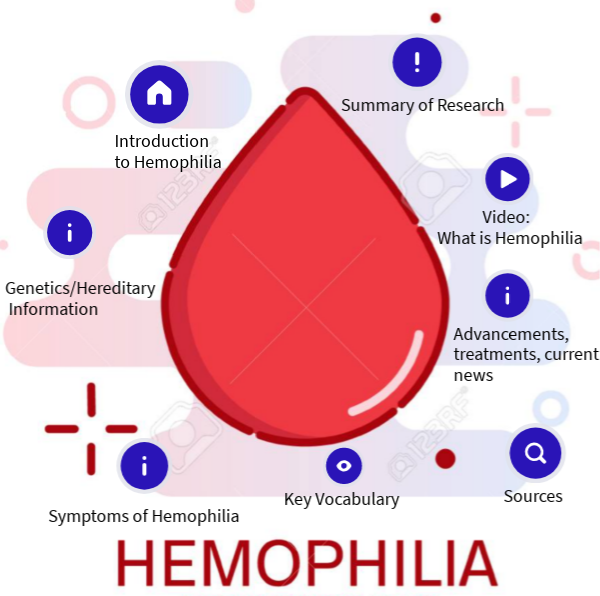 Sebastian R. Hemophilia Project