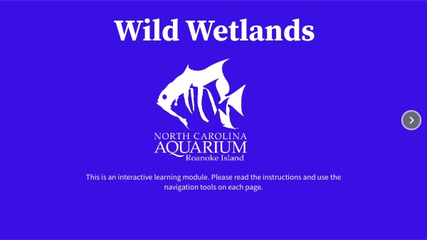 Wild Wetlands | Genially