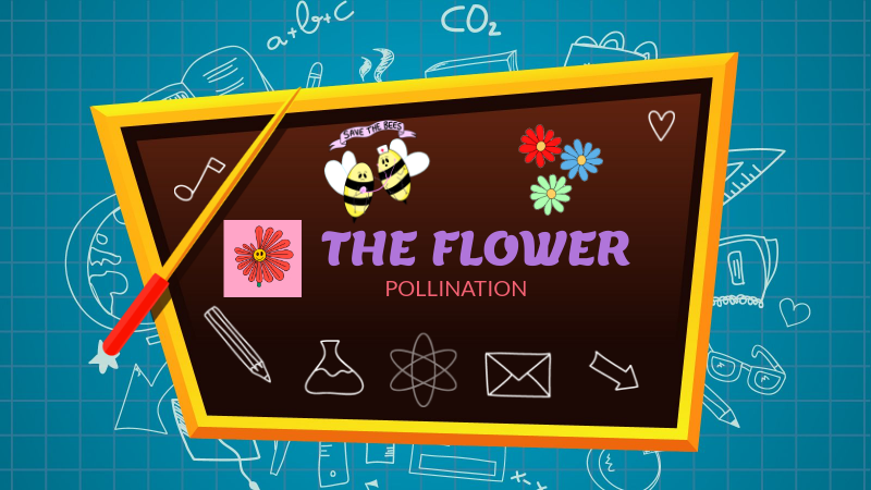 THE FLOWER | Genially