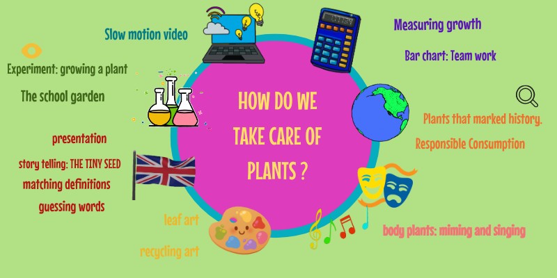 PLANTS CROSS-CURRICULAR PROJECT