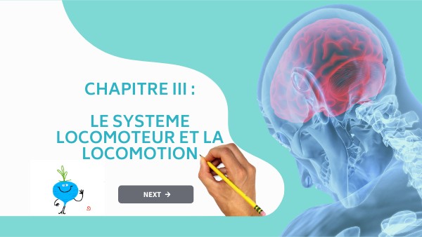 03 Chapitre 3 : le système locomoteur et la locomotion 1 | Genially