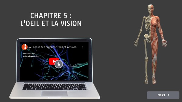 05 CHAPITRE 5 : L'OEIL ET LA VISION | Genially