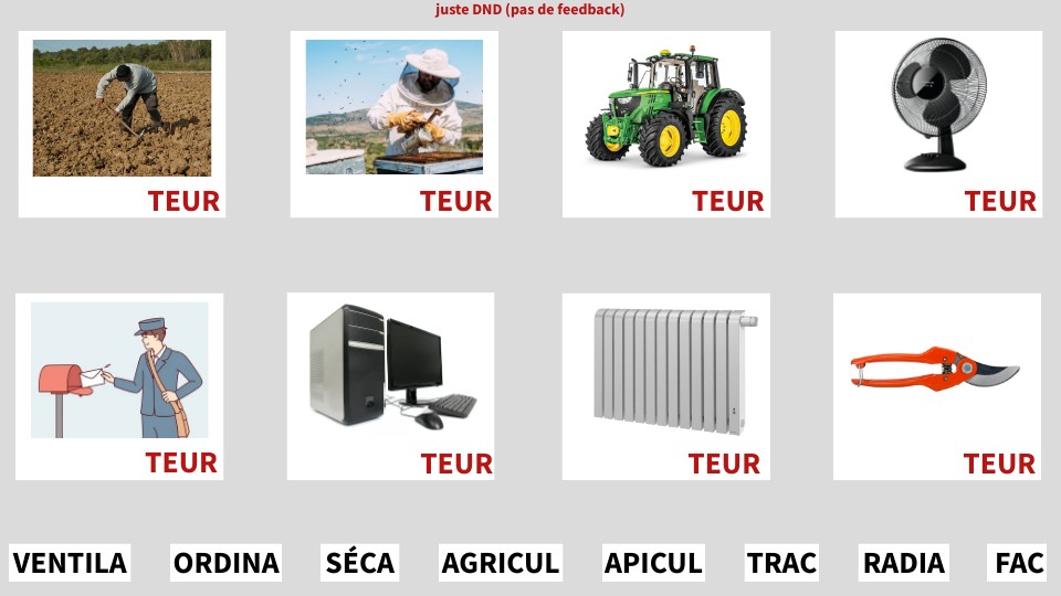 mots en TEUR (sans feed back) | Genially