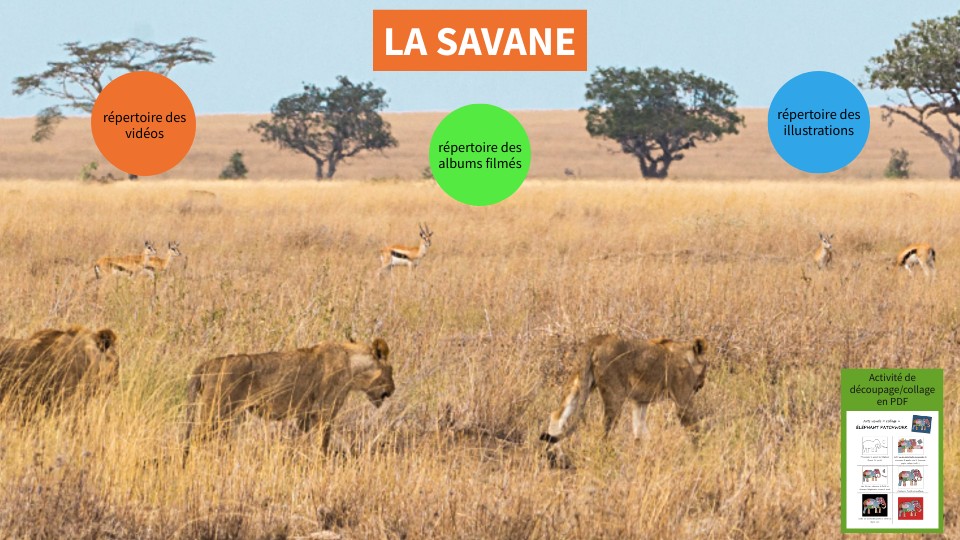la savane