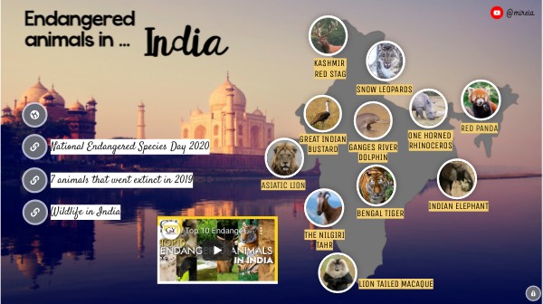 ENDANGERED ANIMALS IN INDIA