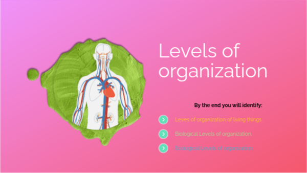 AD2020-Partial I-Levels of Organization | Genially